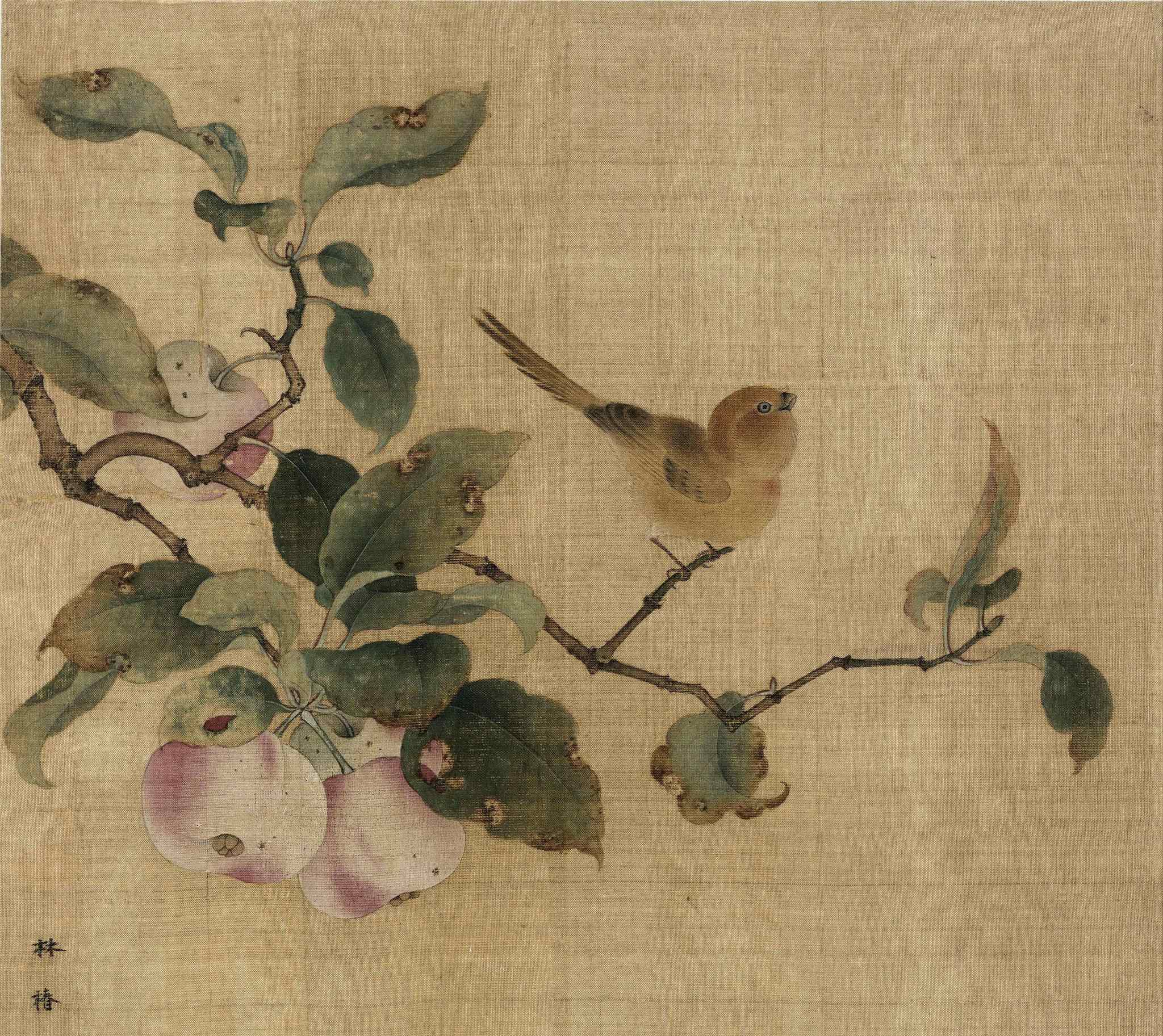 Chinese art,Ripe Fruits and Birds,by Lin Chun,果熟来禽页,林椿