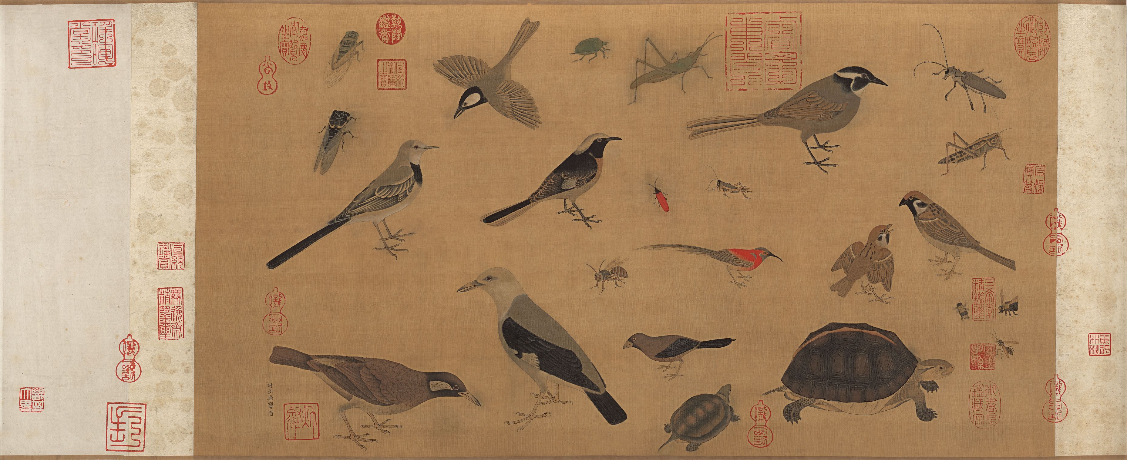 Chinese art Sketches of Birds and Insects (Copy Huang Quan)