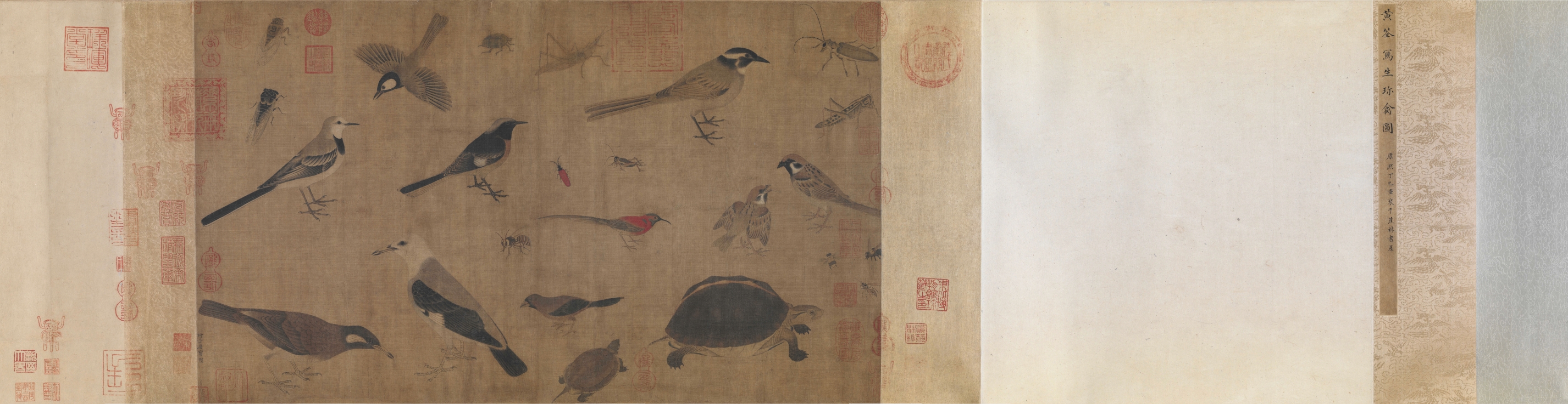 Chinese art,Sketches of Birds and Insects,by Huang Quan,写生珍禽图,黄筌